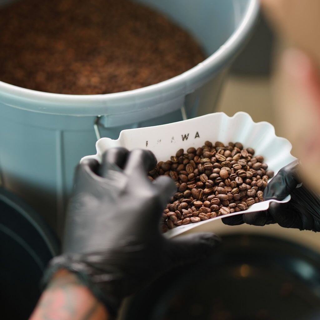 El Patron Coffee DWC-LLC