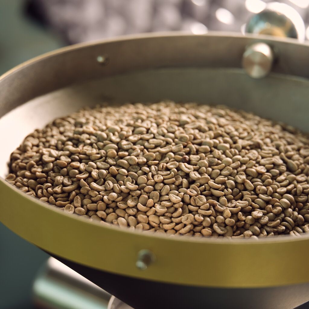 El Patron Coffee DWC-LLC